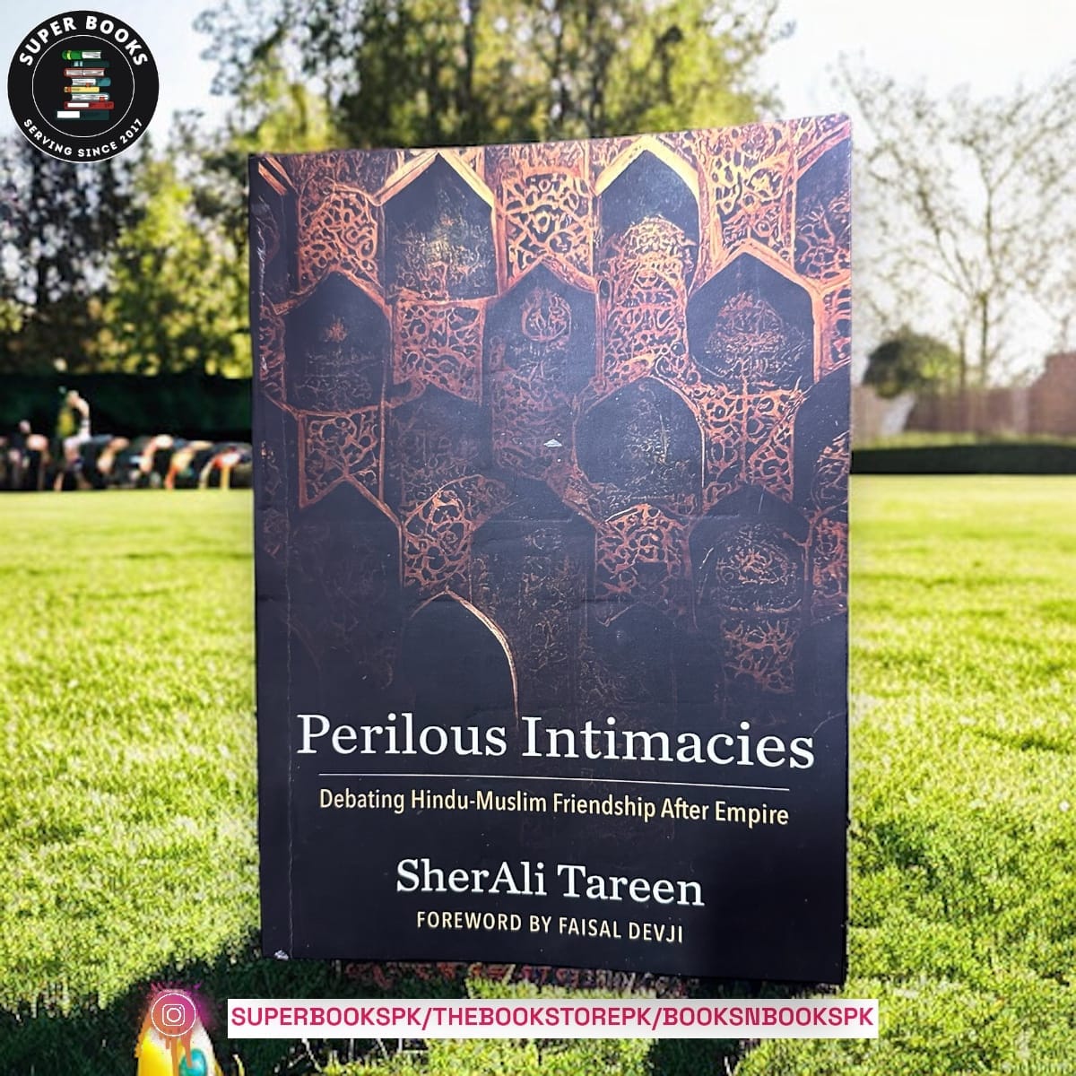 Perilous Intimacies: Debating Hindu-Muslim Friendship After Empire by ...