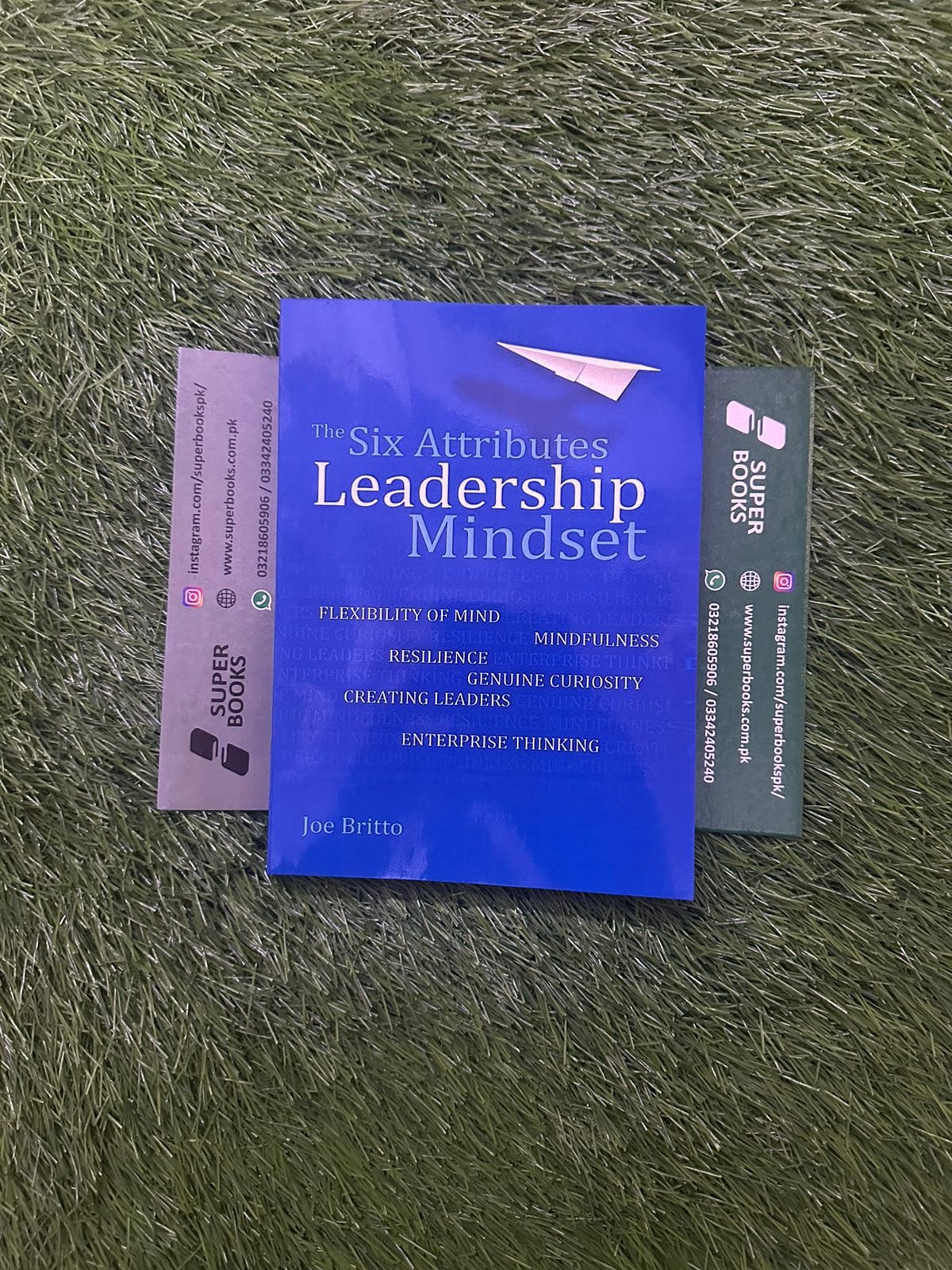 The Six Attributes of a Leadership Mindset by Joe Britto – SuperBooks ...